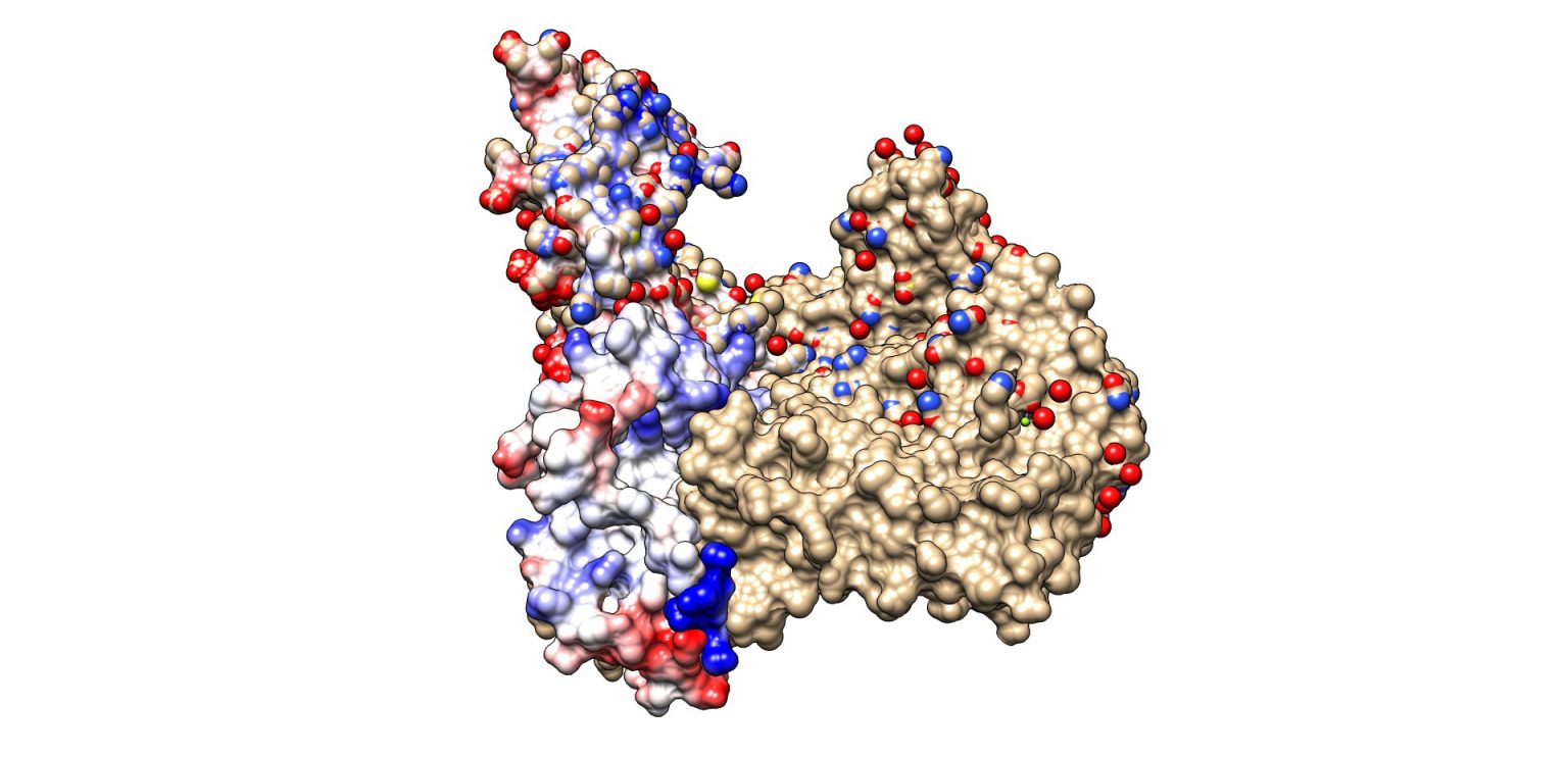 RETROTRANSCRIPCIÓN Y RETROVIRUS - ChemEvol