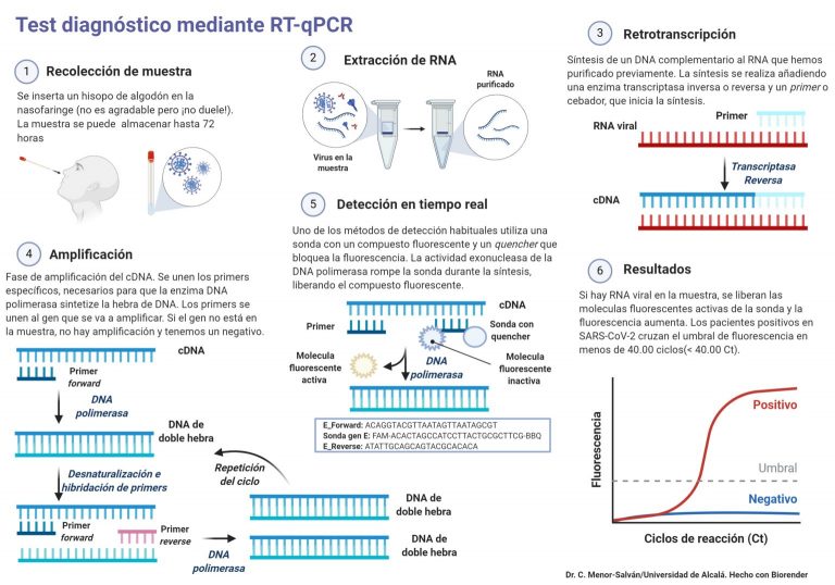 RETROTRANSCRIPCIÓN Y RETROVIRUS - ChemEvol