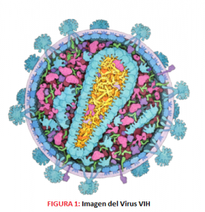 VIH: Estructura, mecanismos de acción y proyectos de vacunas - ChemEvol