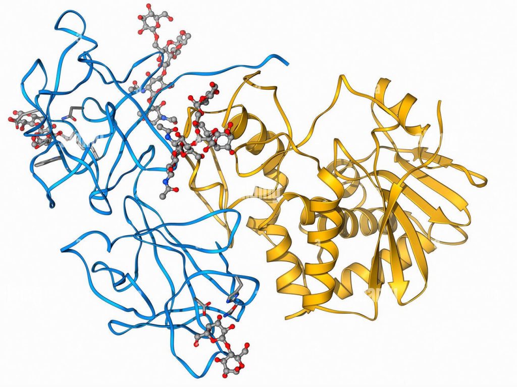 LA RICINA: ¿VENENO O PROTECCIÓN? - ChemEvol
