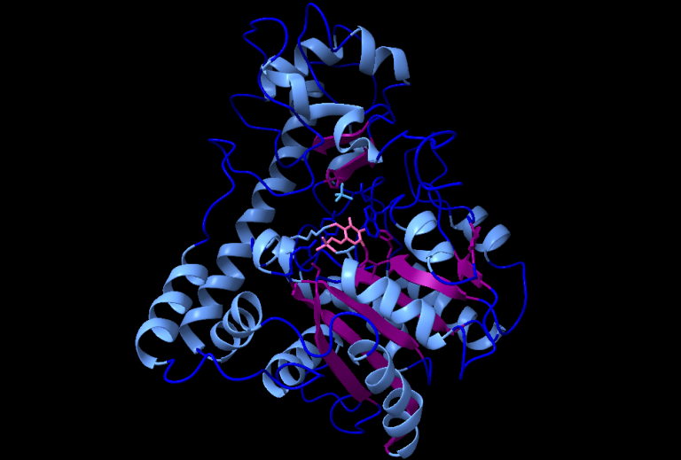 ASPARTATO AMINOTRANSFERASA (AST) - ChemEvol